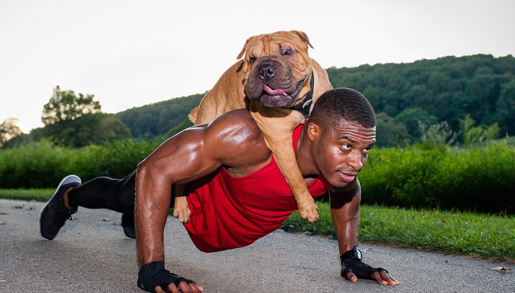 Discover The Benefits Of Working Out With Your Dog Your Best Workout Buddy Discover The Benefits Of Working Out With Your Dog Your Best Workout Buddy